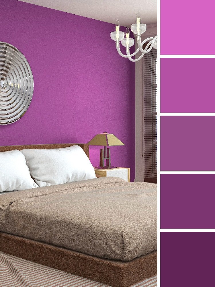 Familia de Colores Morados con sus nombres