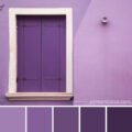 Color morado: qué significa y cómo usarlo bien en tu casa – PintoMiCasa